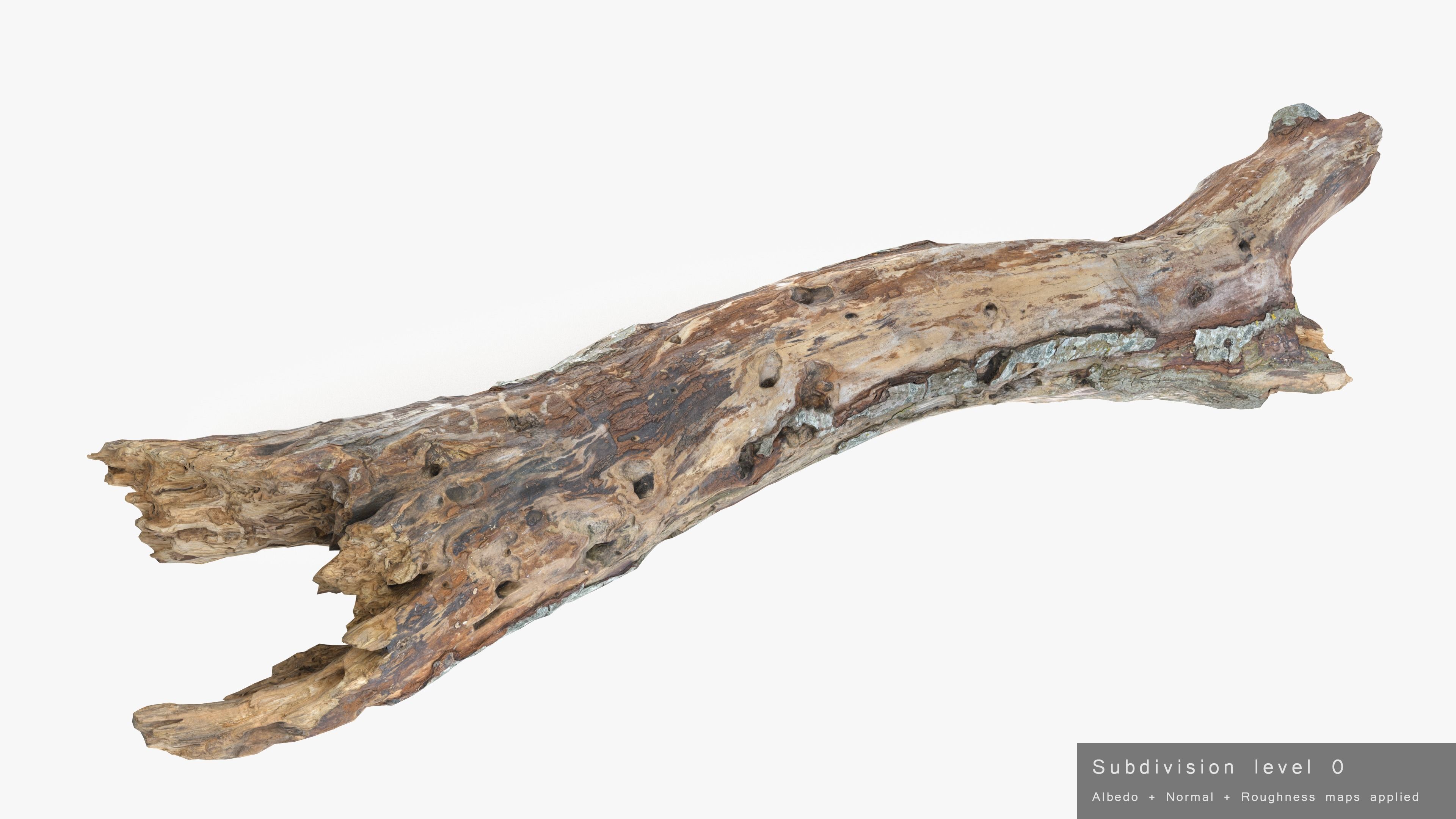 3D model Withered Tree Hide VR / AR / low-poly | CGTrader