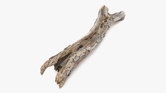 3D model Withered Tree Hide VR / AR / low-poly | CGTrader