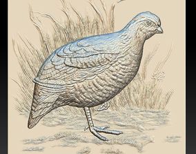 Quail 3D Printing Models | CGTrader