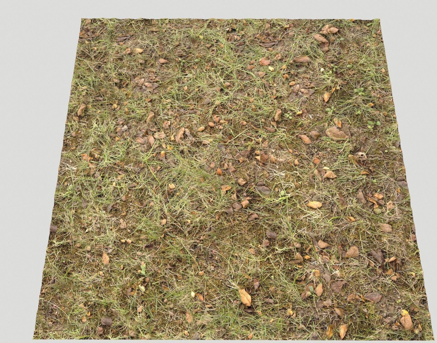 Forest Terrain Pack PBR 17 Texture | CGTrader