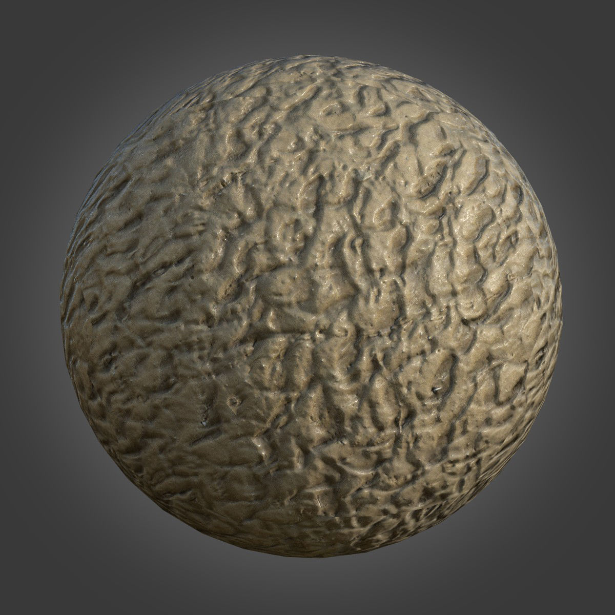 Set of 20 Various Sand PBR Textures Volume 1 Texture | CGTrader