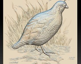 Quail 3D Printing Models | CGTrader