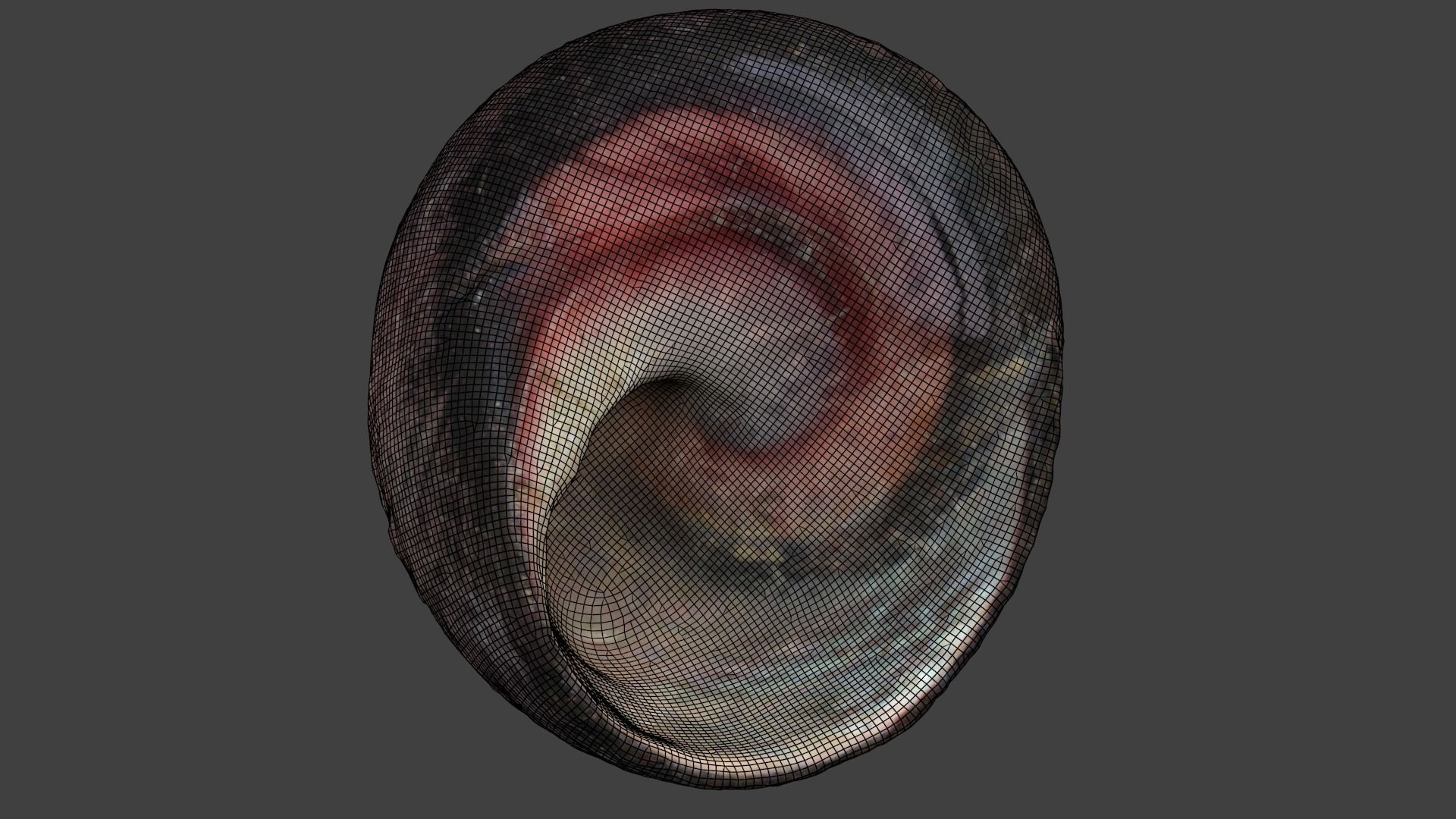 3D model Pink lipped topshell seashell photoscan VR / AR / low-poly ...