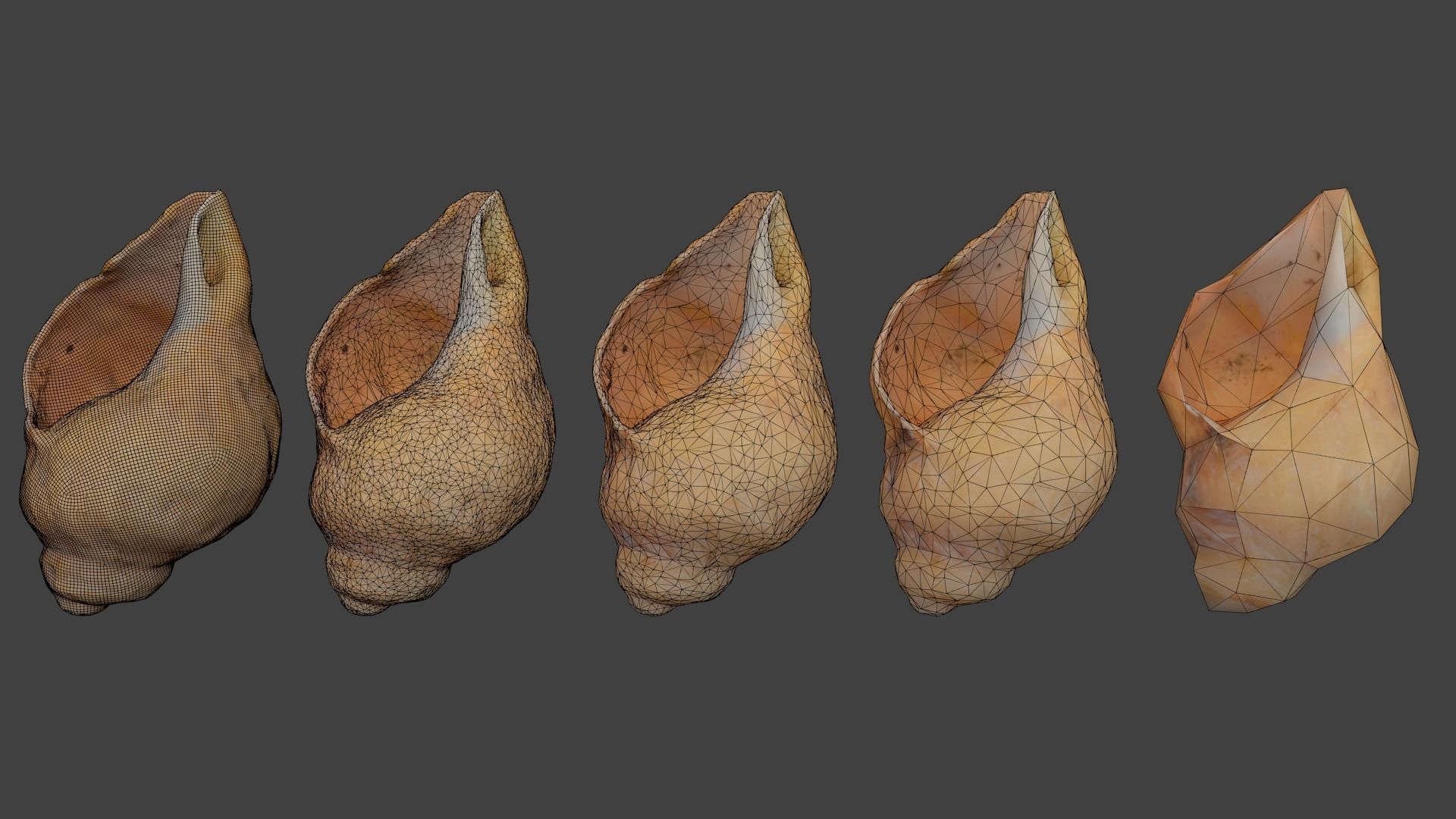 3D model Pointed Spiral Seashell Photoscan VR / AR / low-poly | CGTrader