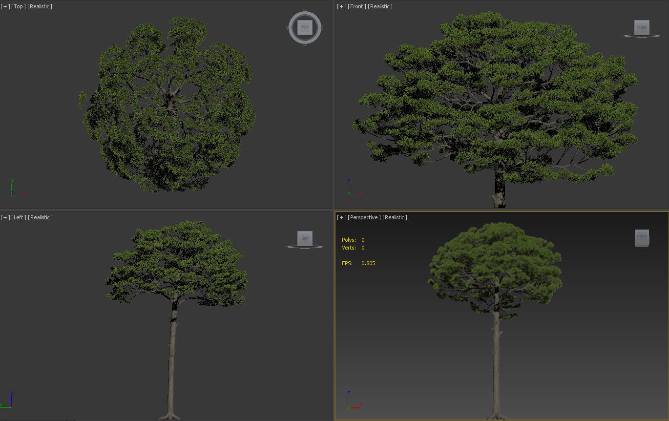 Stone Pine 3D model | CGTrader