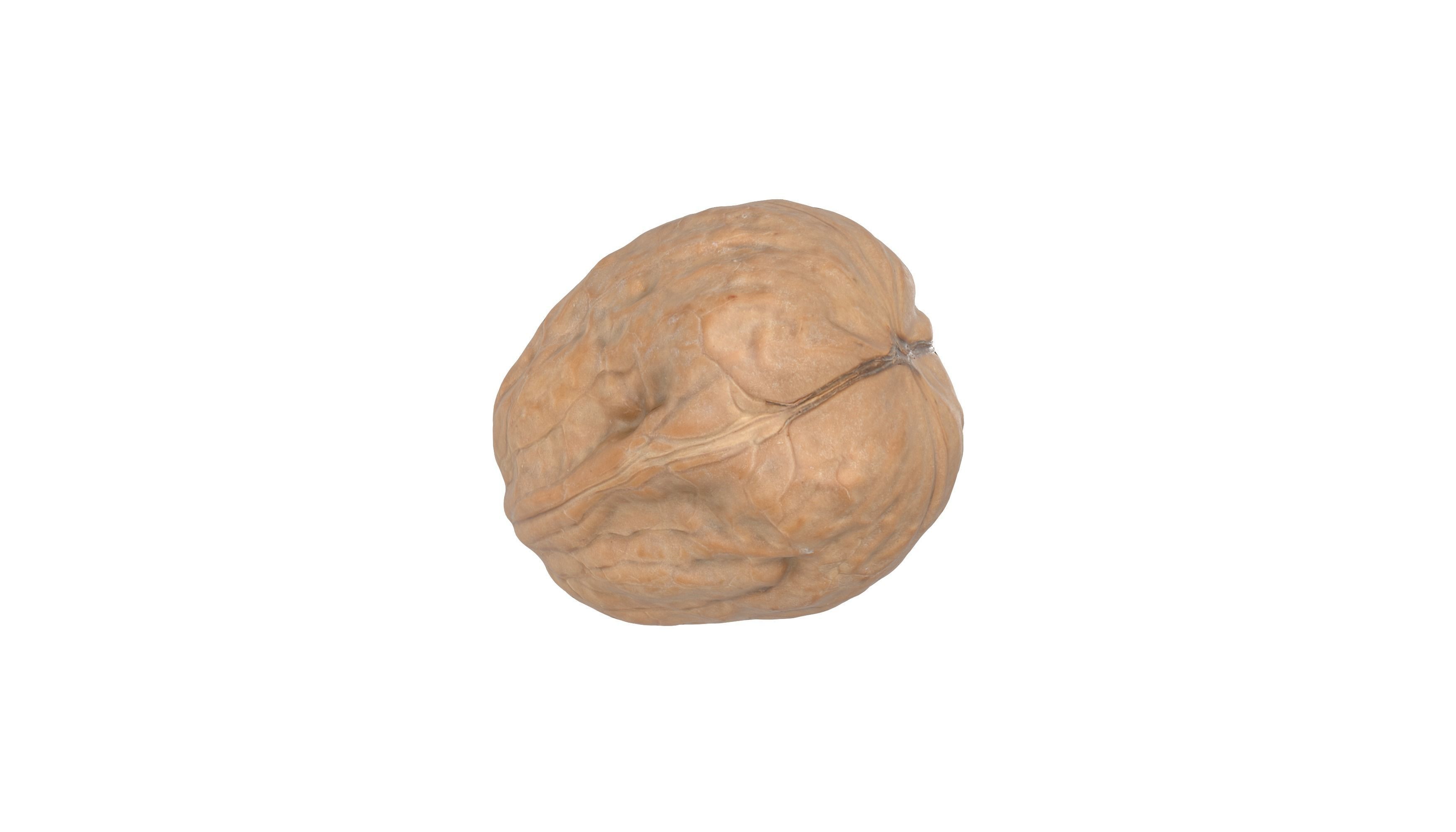 Photorealistic Walnut 3D Model Photoscan 3D model | CGTrader