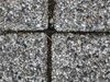 Park tile texture 03 Texture | CGTrader