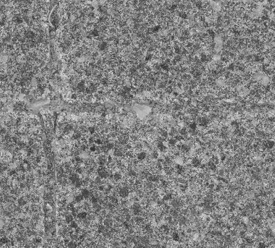 Park tile texture 03 Texture | CGTrader