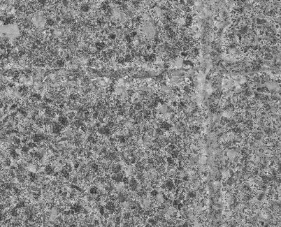 Park tile texture 03 Texture | CGTrader