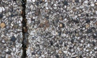 Park tile texture 03 Texture | CGTrader