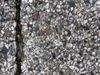 Park tile texture 03 Texture | CGTrader