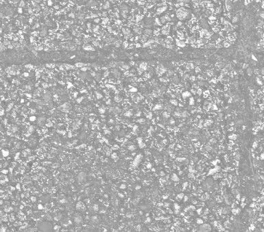 Park tile texture 03 Texture | CGTrader