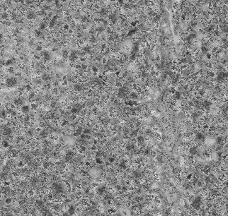Park tile texture 03 Texture | CGTrader