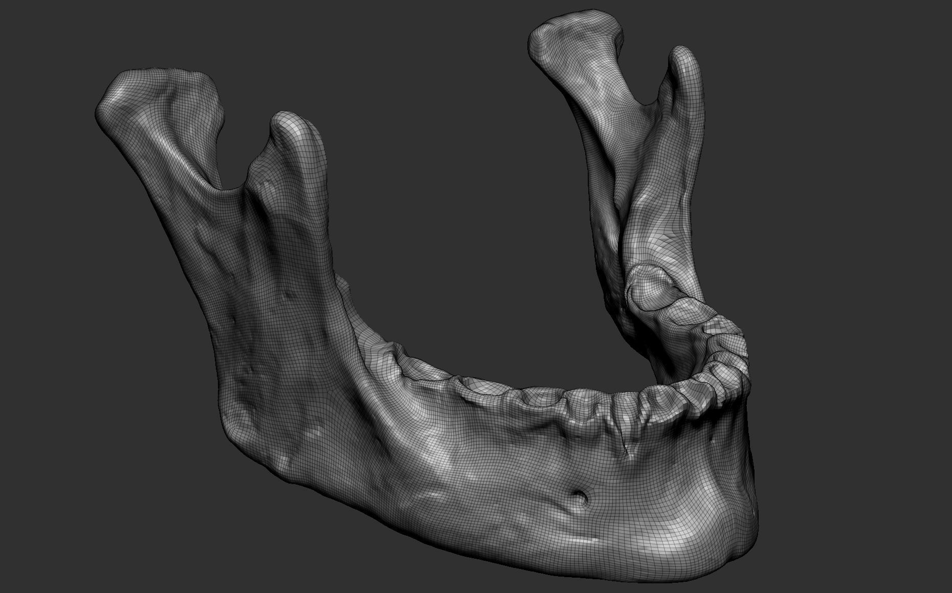 Human female skull- model for rendering- PBR 8K 3D model | CGTrader