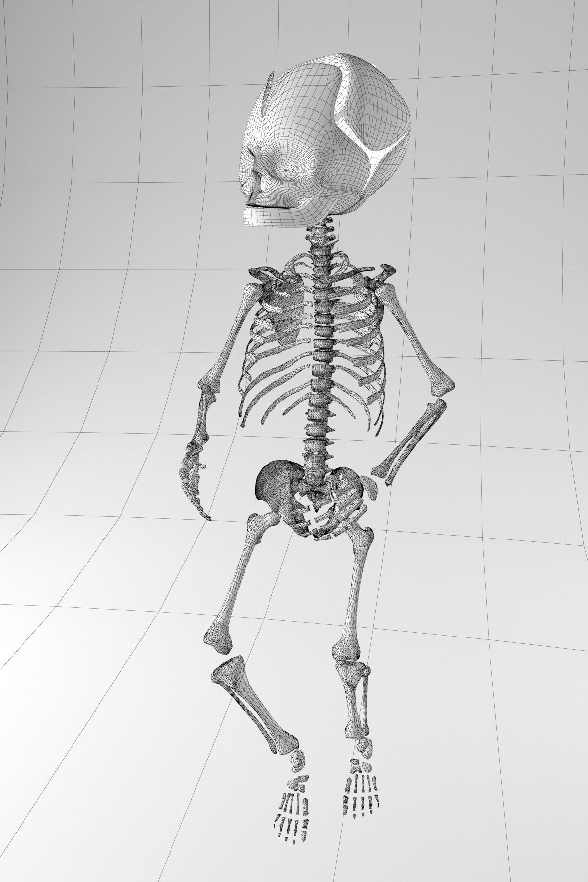 child skeleton 3D model | CGTrader