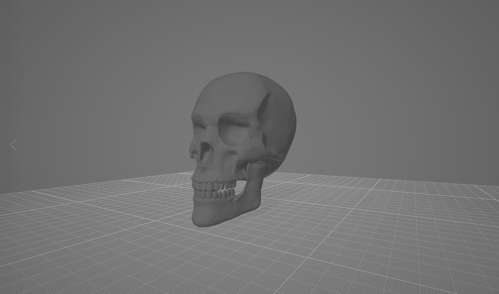 High Poly Realistic Human Skull Model with Sample Teeth 3D model | CGTrader