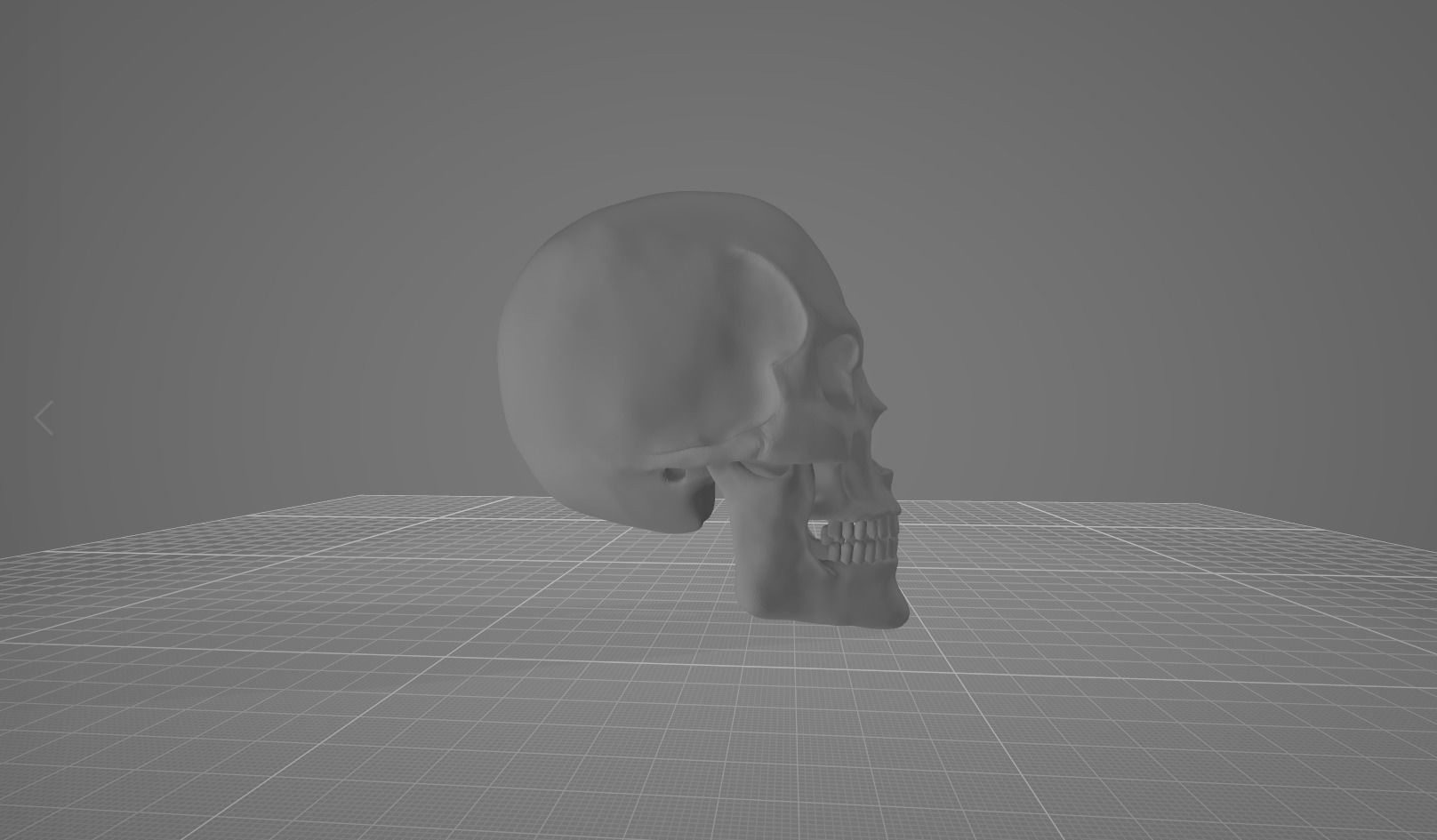 High Poly Realistic Human Skull Model with Sample Teeth 3D model | CGTrader