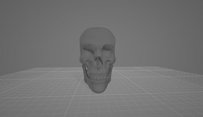 High Poly Realistic Human Skull Model with Sample Teeth 3D model | CGTrader