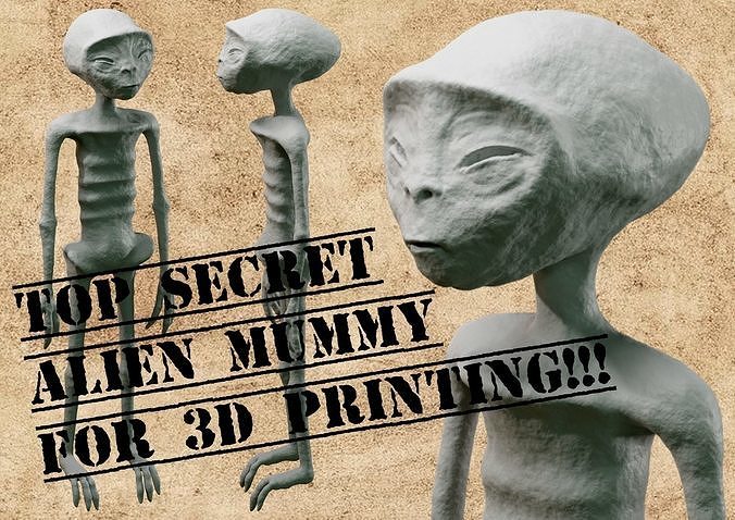 Alien Mummy from NAZCA - PERU - Ready for 3D Printing 3D model 3D ...