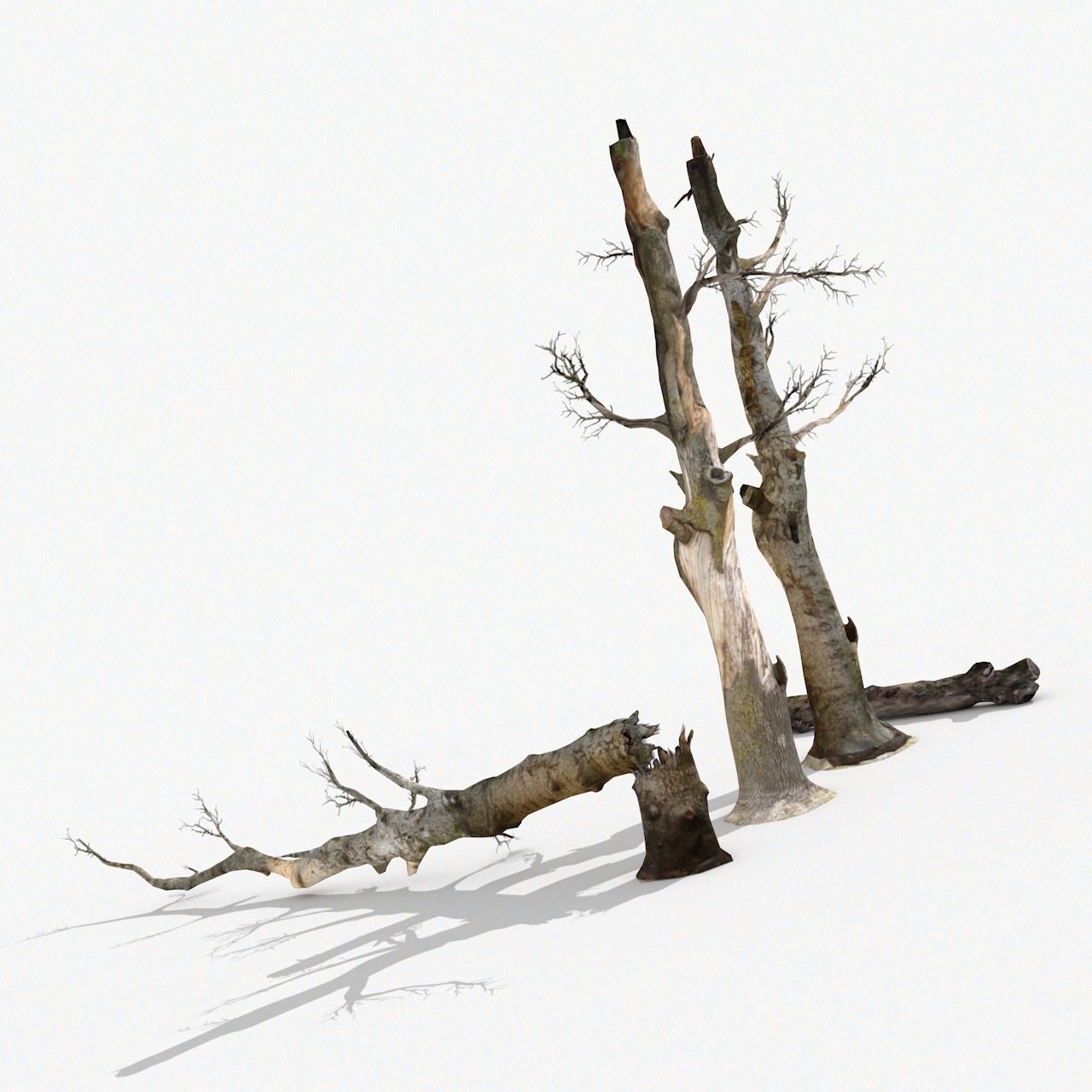 3D model Dead Trees Collection VR / AR / low-poly | CGTrader