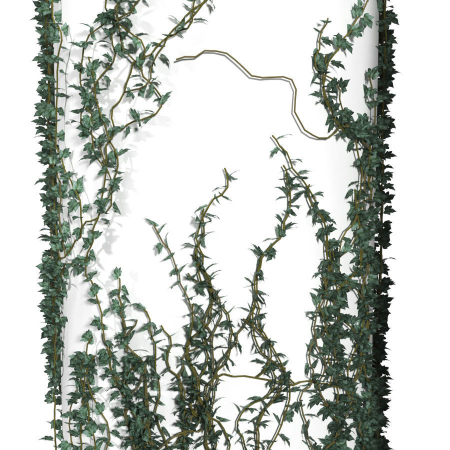 Ivy winding on a pillar 3D model | CGTrader