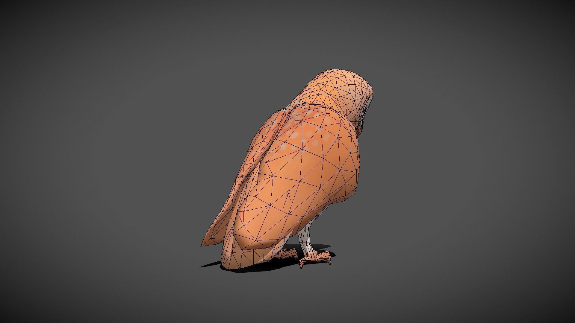 3D model Low poly Barn Owl - Idle Animated VR / AR / low-poly rigged ...