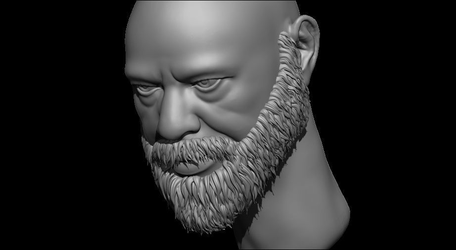 Beard 3D model | CGTrader