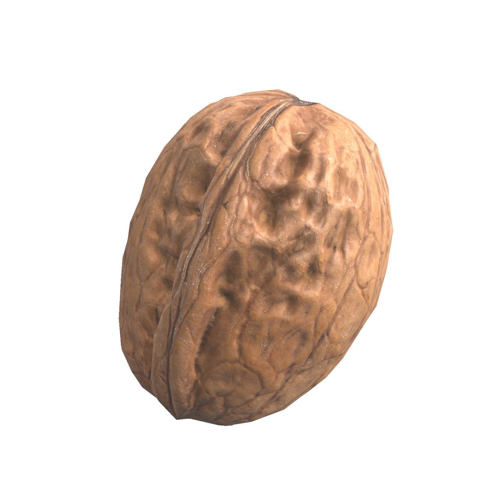 Walnut 3D model | CGTrader