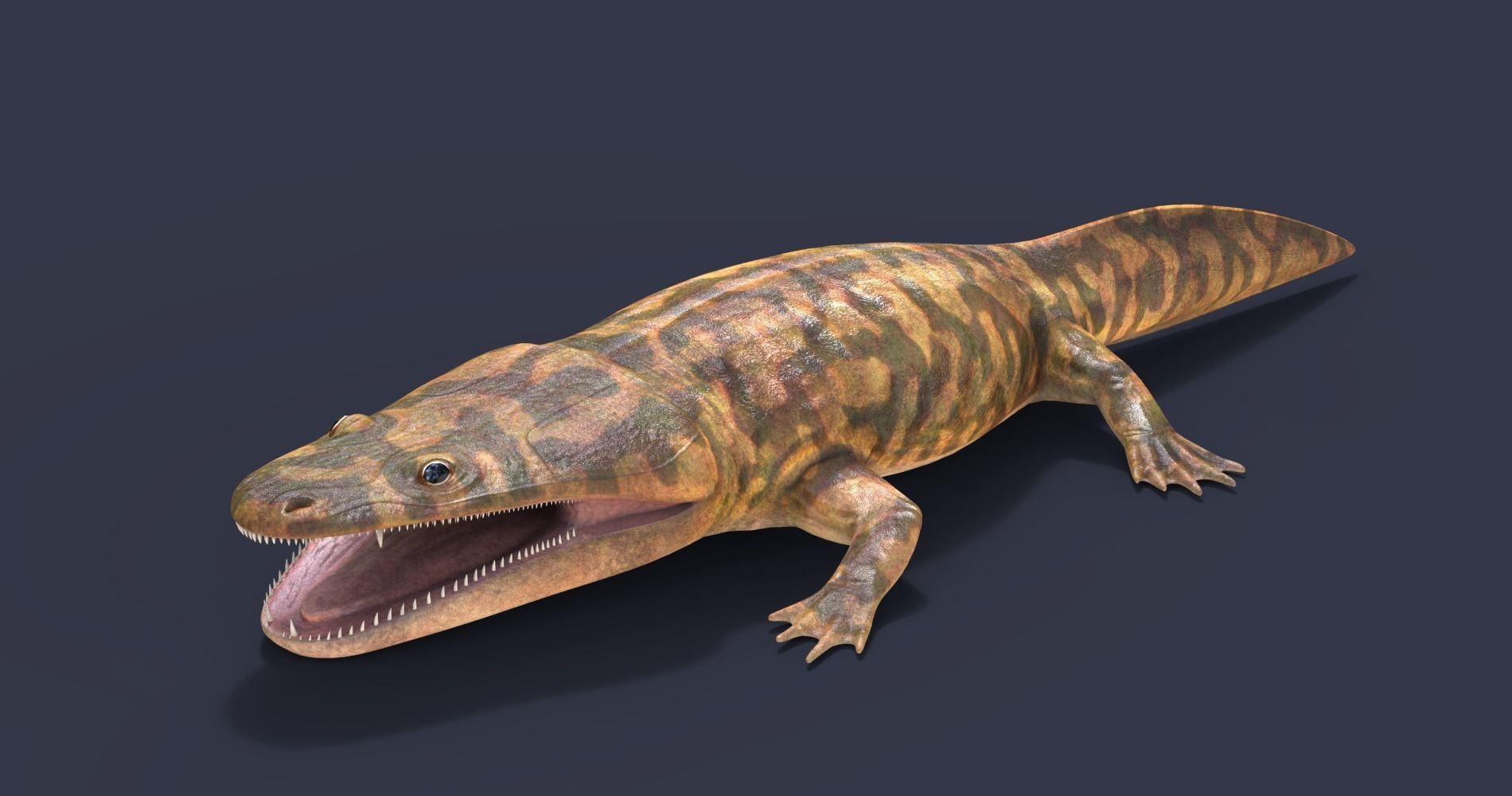Metoposaurus 3D model | CGTrader