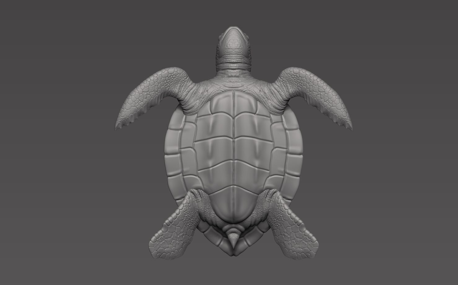 Turtle sea 3D model 3D printable | CGTrader