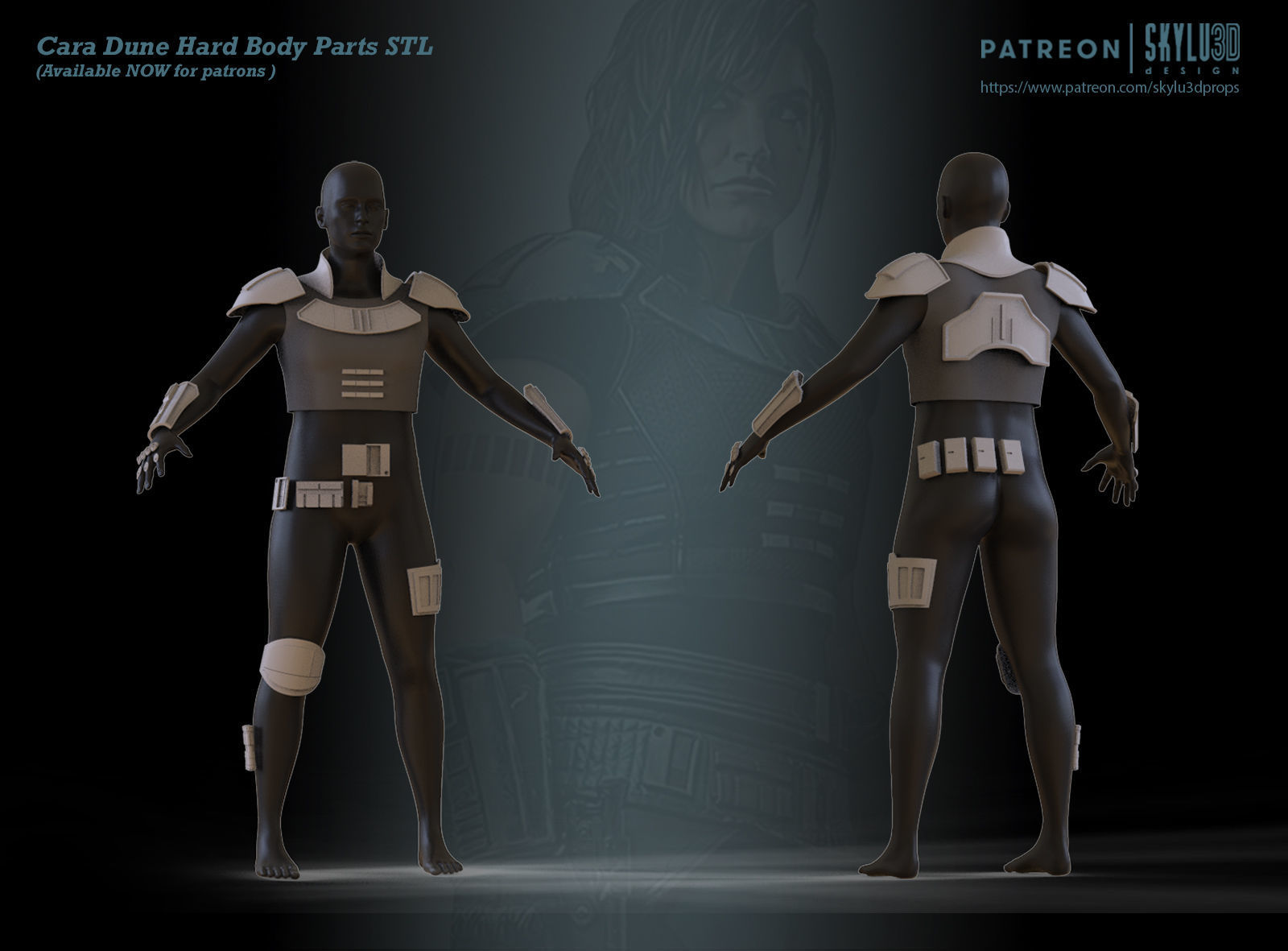 Cara Dune Body Hard Armor Print ready STL 3D model 3D printable | CGTrader