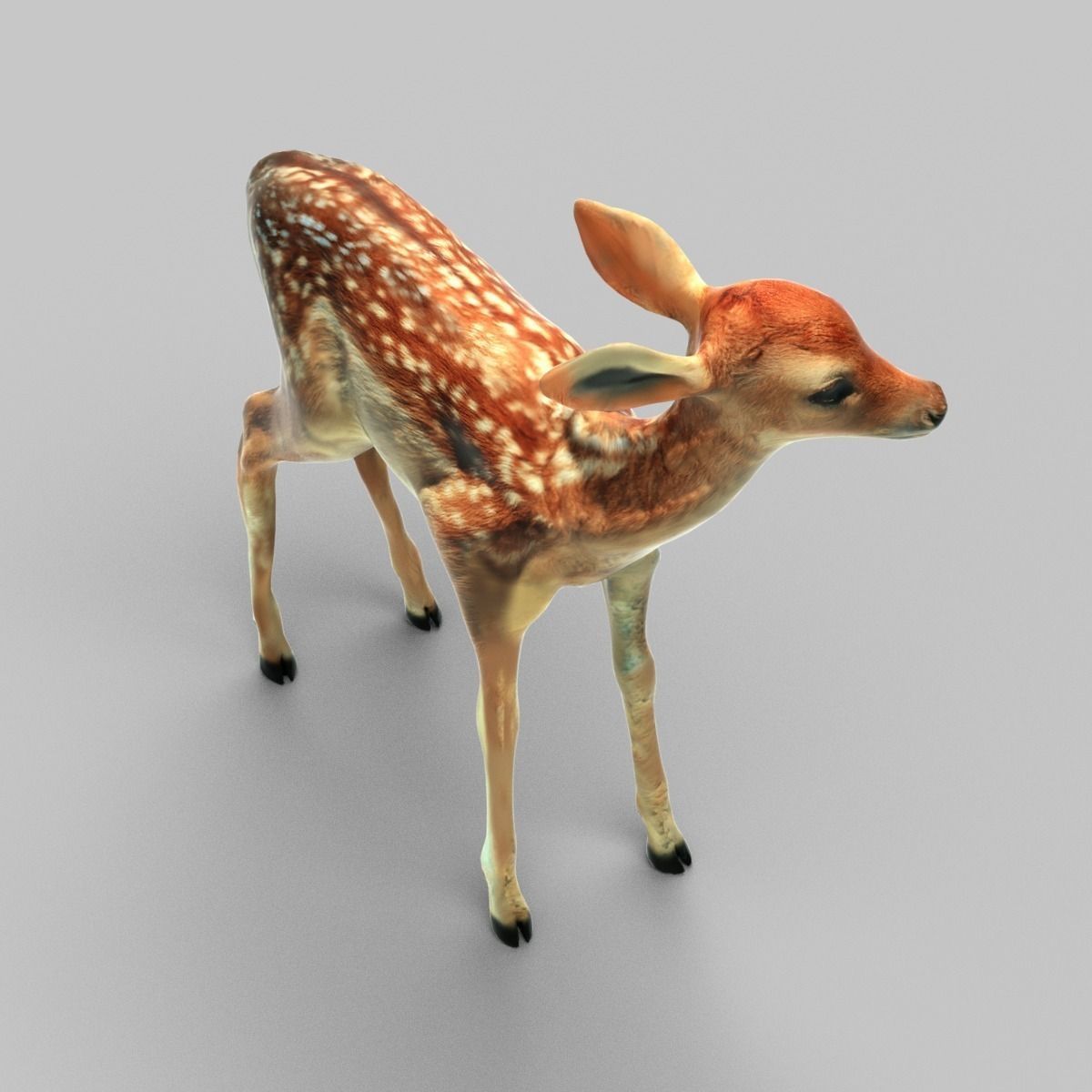 3D model Tiny Fawn VR / AR / low-poly OBJ - CGTrader.com