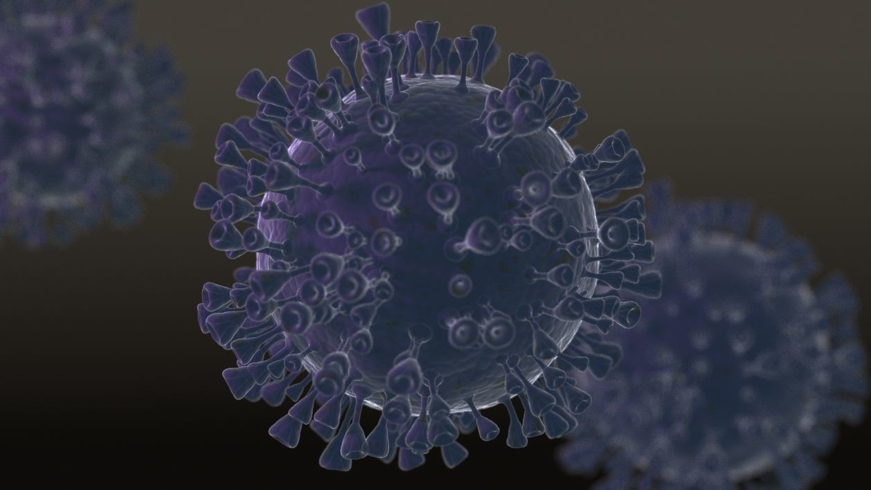 bacteria corona 3D model | CGTrader