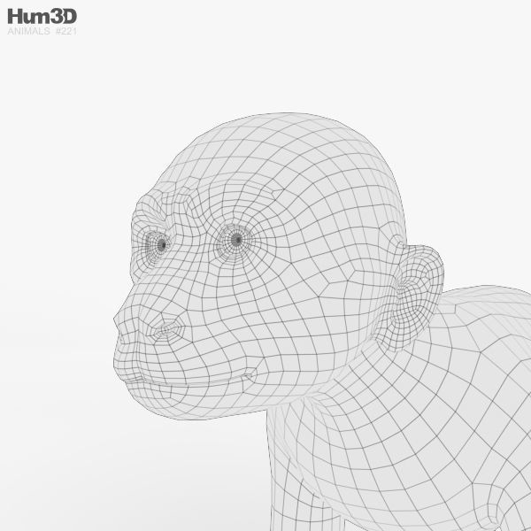 Capuchin HD 3D model | CGTrader