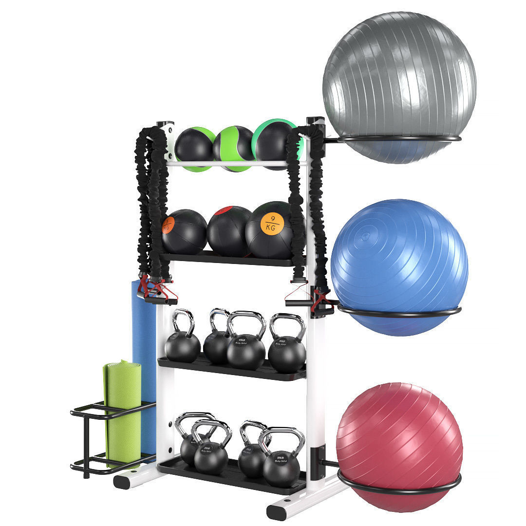 Fitness accessories rack 3D model | CGTrader