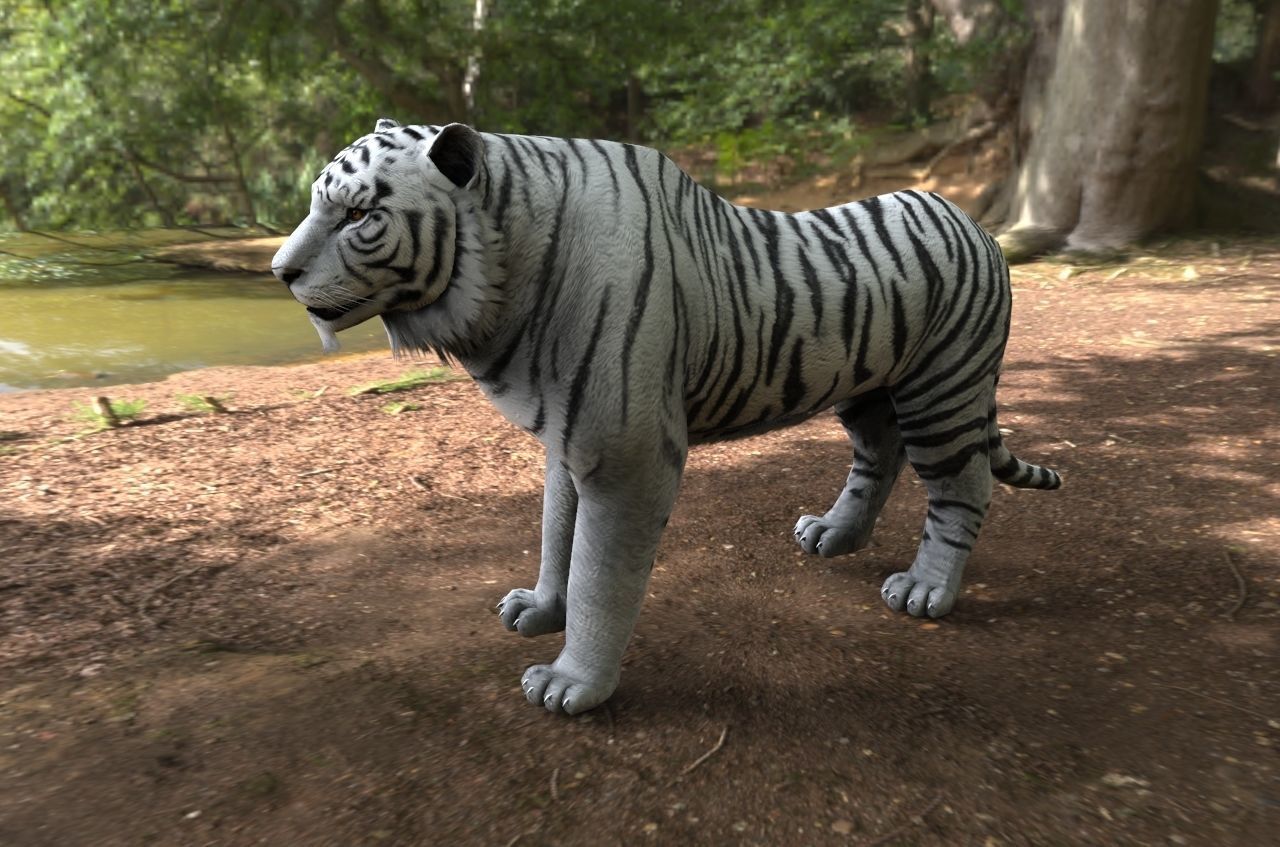 3D model white tiger VR / AR / low-poly | CGTrader