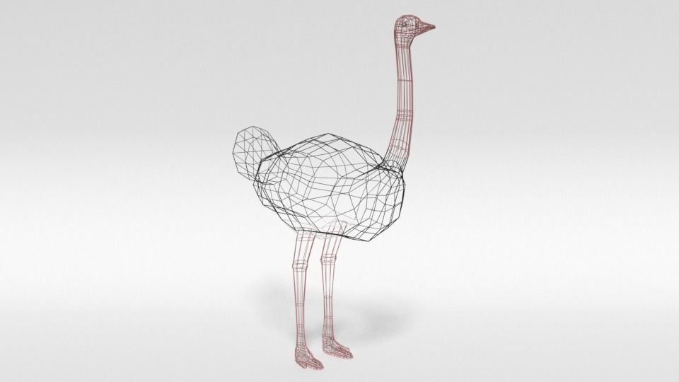 3D model Low Poly Cartoon Ostrich VR / AR / low-poly | CGTrader