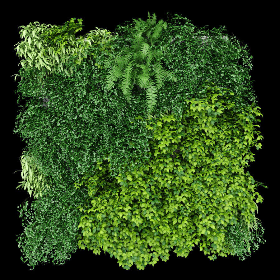 Forest Pack Library For FstormRender-unofficial 3D model | CGTrader