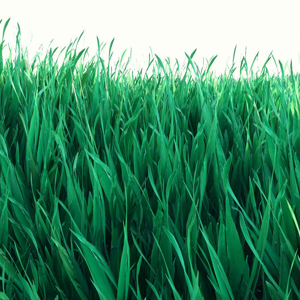 3D model Grass Low Poly 3 VR / AR / low-poly | CGTrader