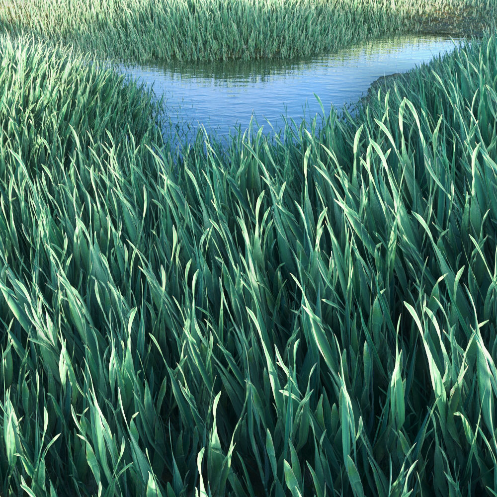 3D model Grass Low Poly 4 VR / AR / low-poly | CGTrader