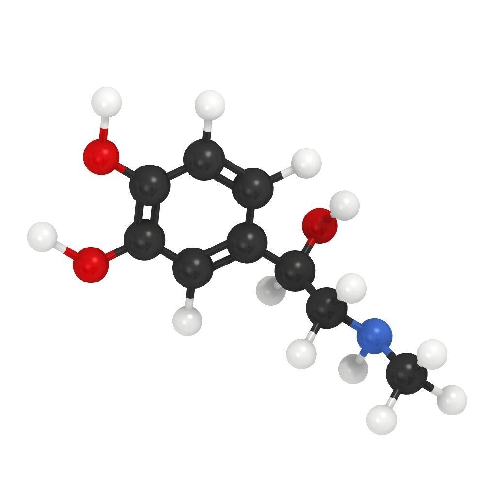 Epinephrine Molecule 3D model OBJ FBX LWO