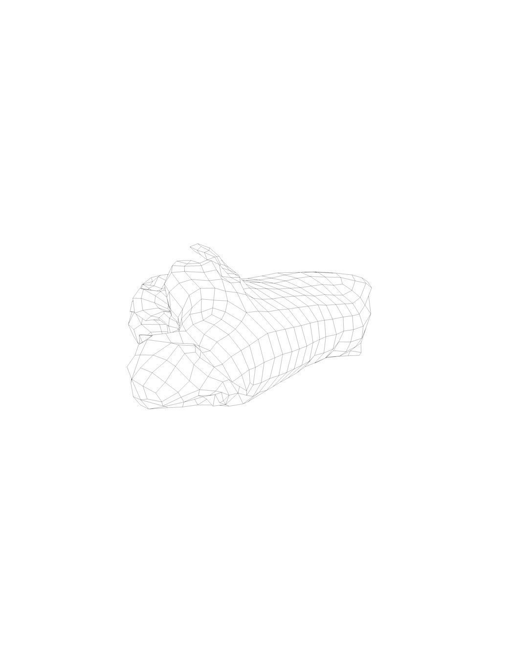 3D model Raw Pig Leg Part VR / AR / low-poly | CGTrader