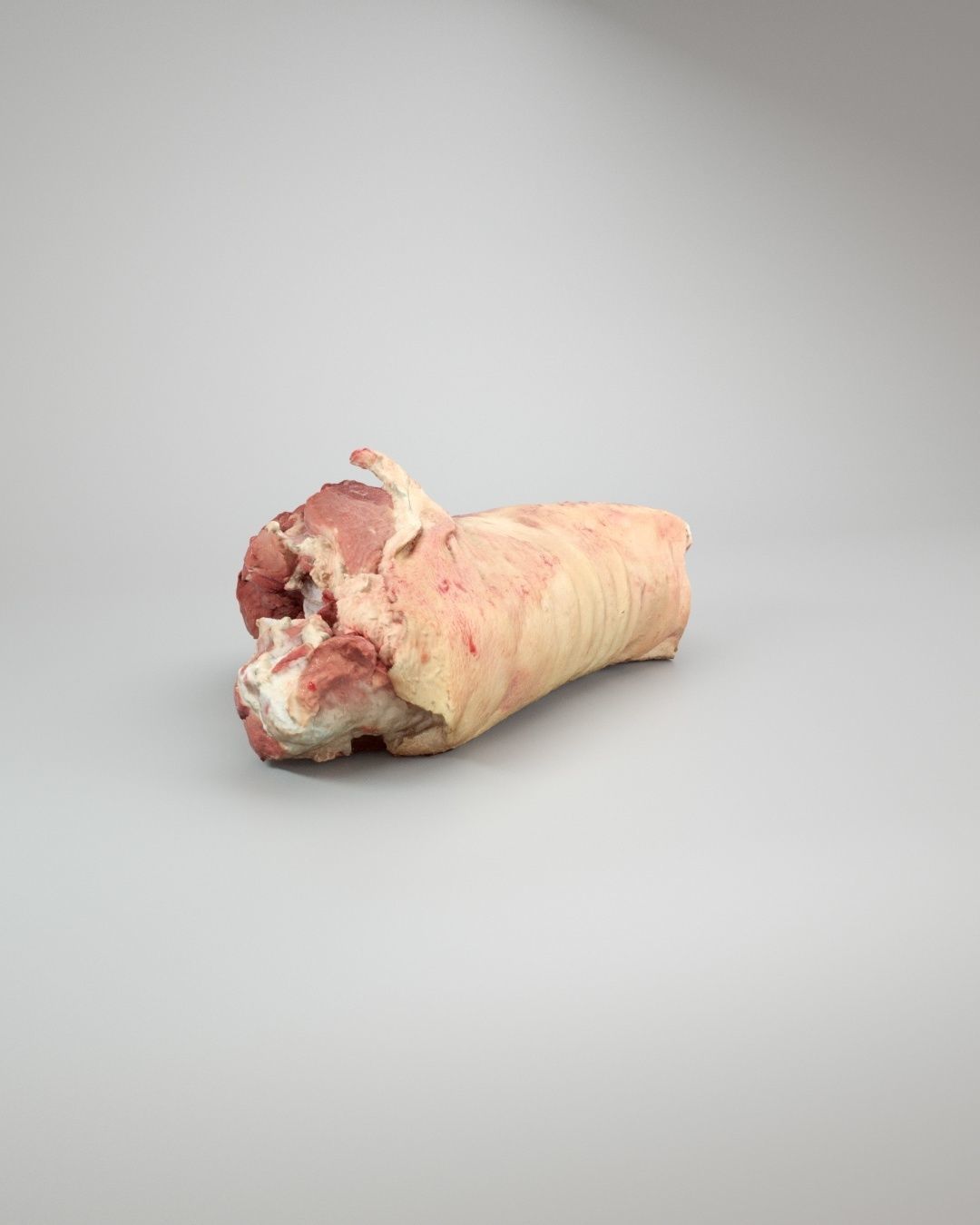 3D model Raw Pig Leg Part VR / AR / low-poly | CGTrader