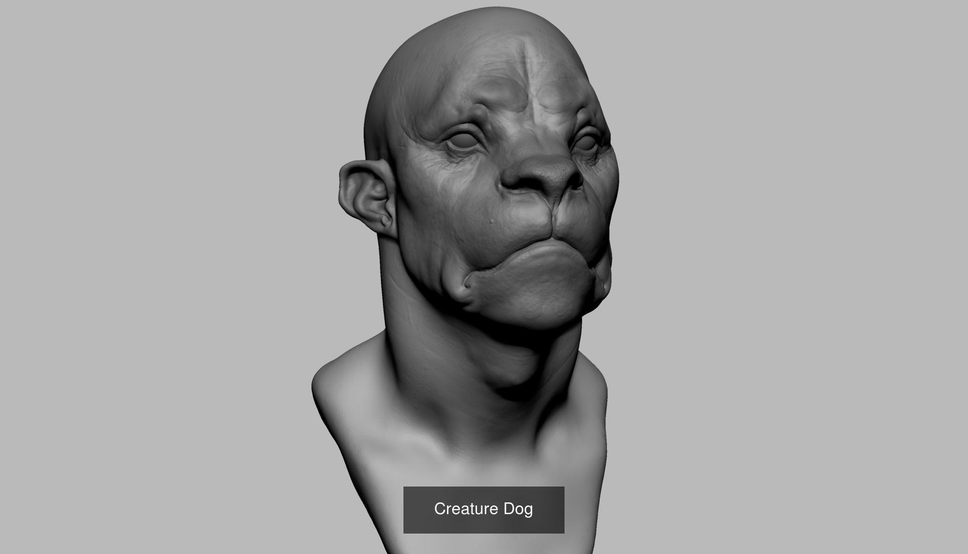 Creature Head Collection | CGTrader