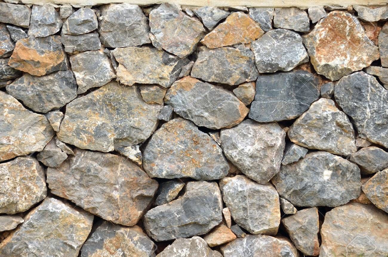 Environment Texture free 3D model rigged | CGTrader