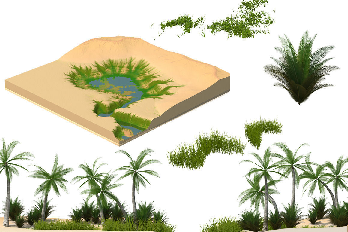 3D model Desert oasis VR / AR / low-poly | CGTrader