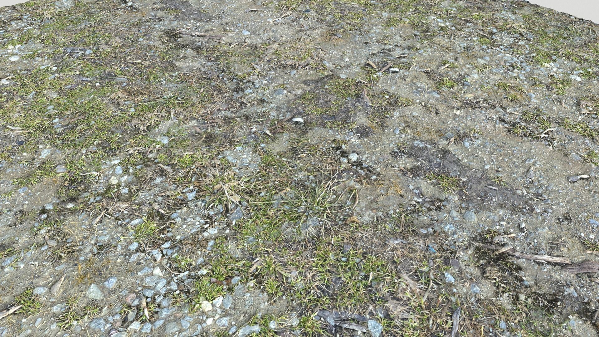 Forest ground PBR Pack 8 Texture | CGTrader