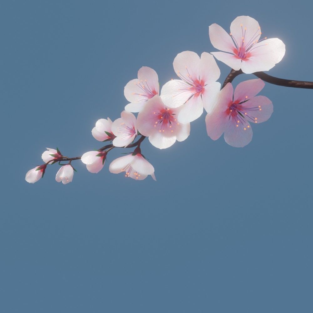 cherry blossom branch animation 3D model animated rigged | CGTrader