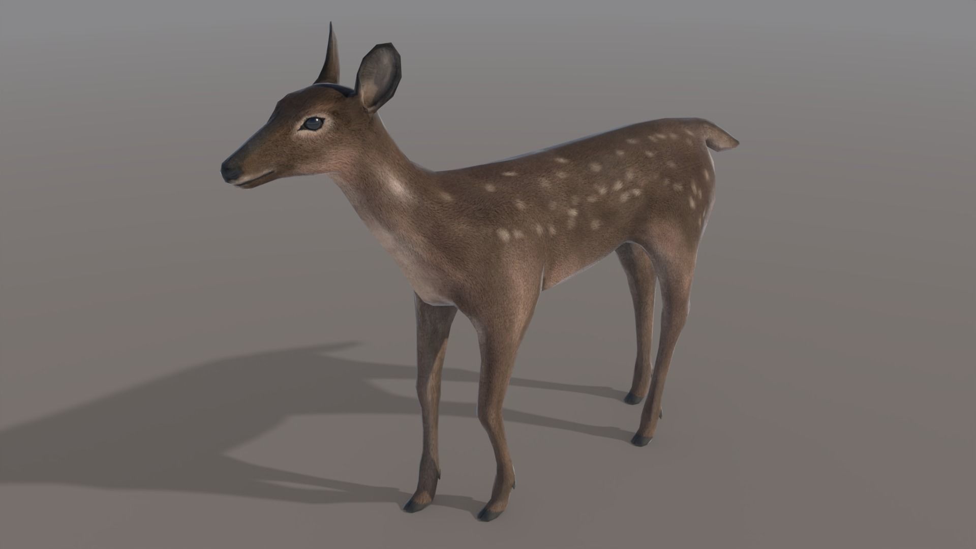 Low-poly Animated Deer 3D asset | CGTrader
