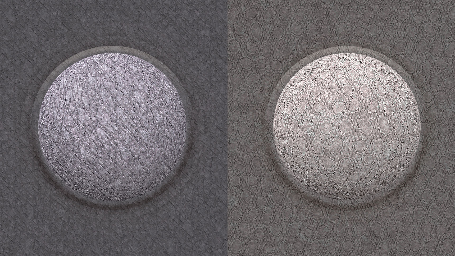 DRAGON PBR Skin Texture | CGTrader